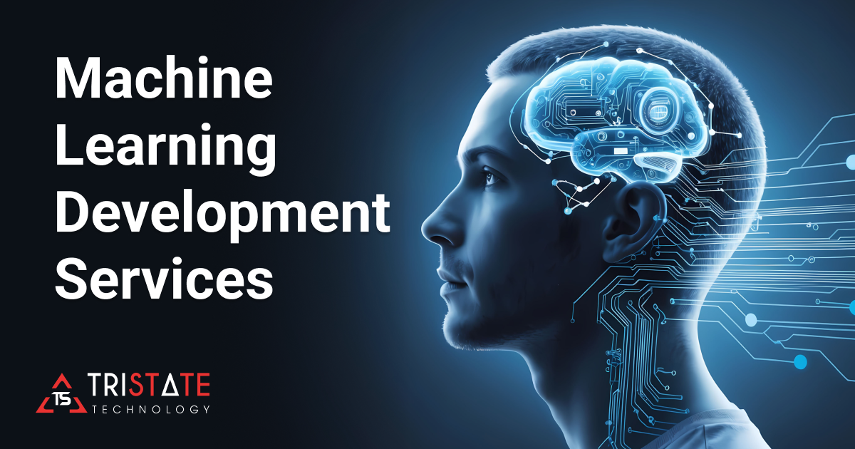 Machine Learning Development Company